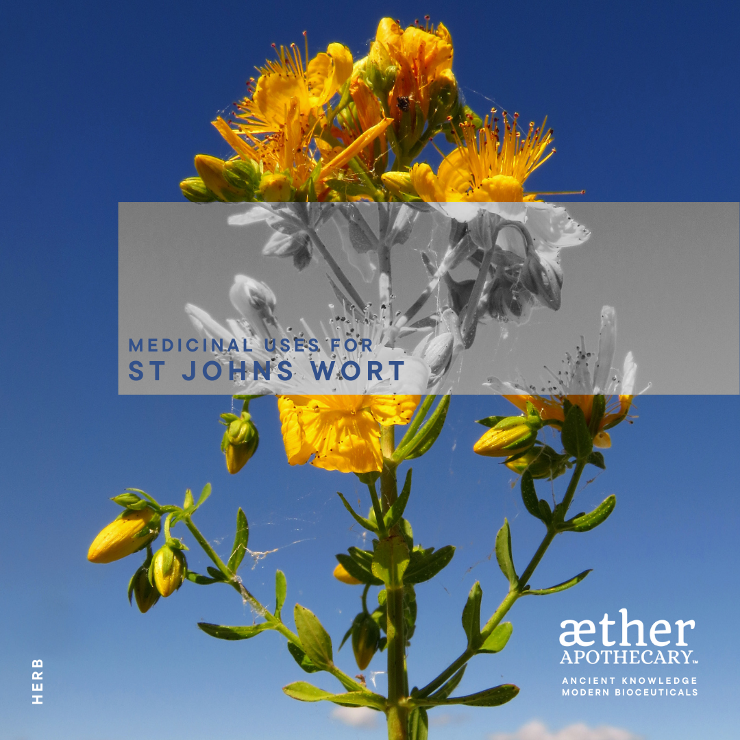 St. John's Wort: Nature's Sacred Remedy for Mind and Body ...