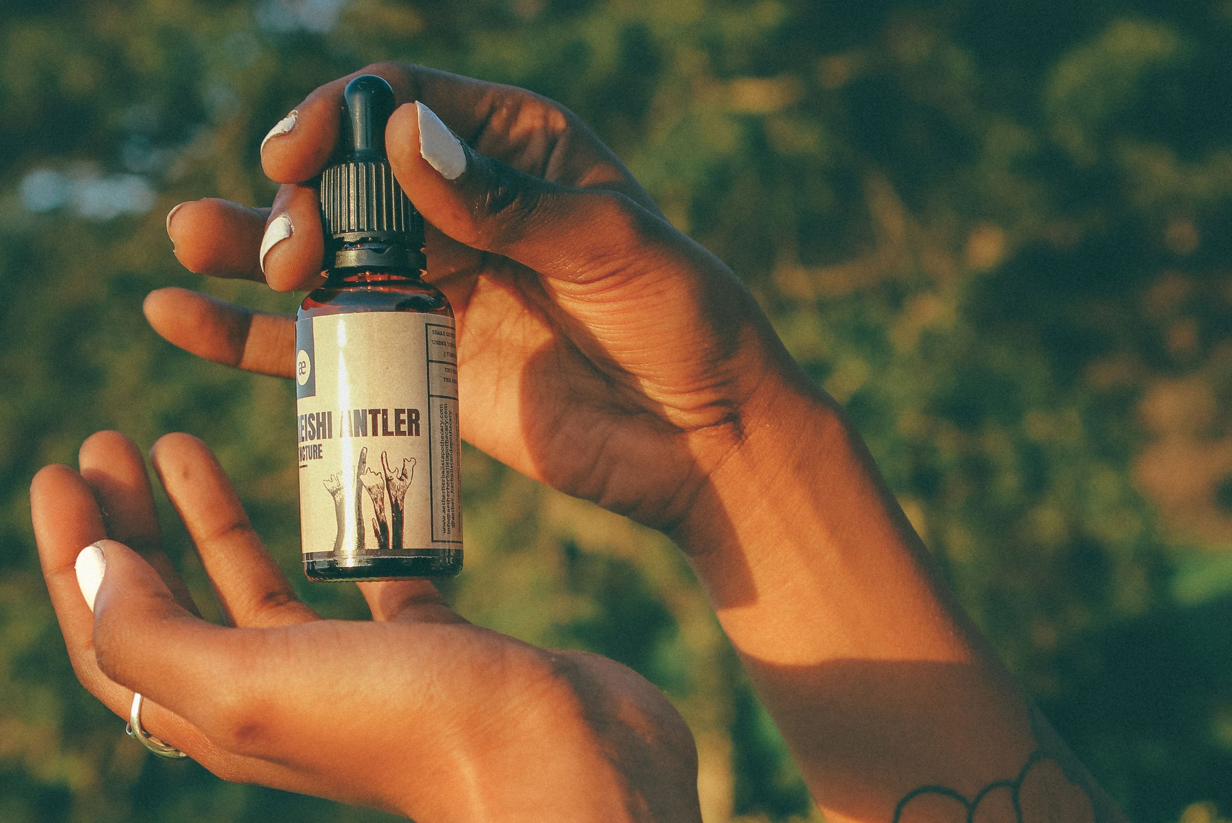 Contact Us | Aether Apothecary | Herbs and Mushroom Extracts – aetherapothecary